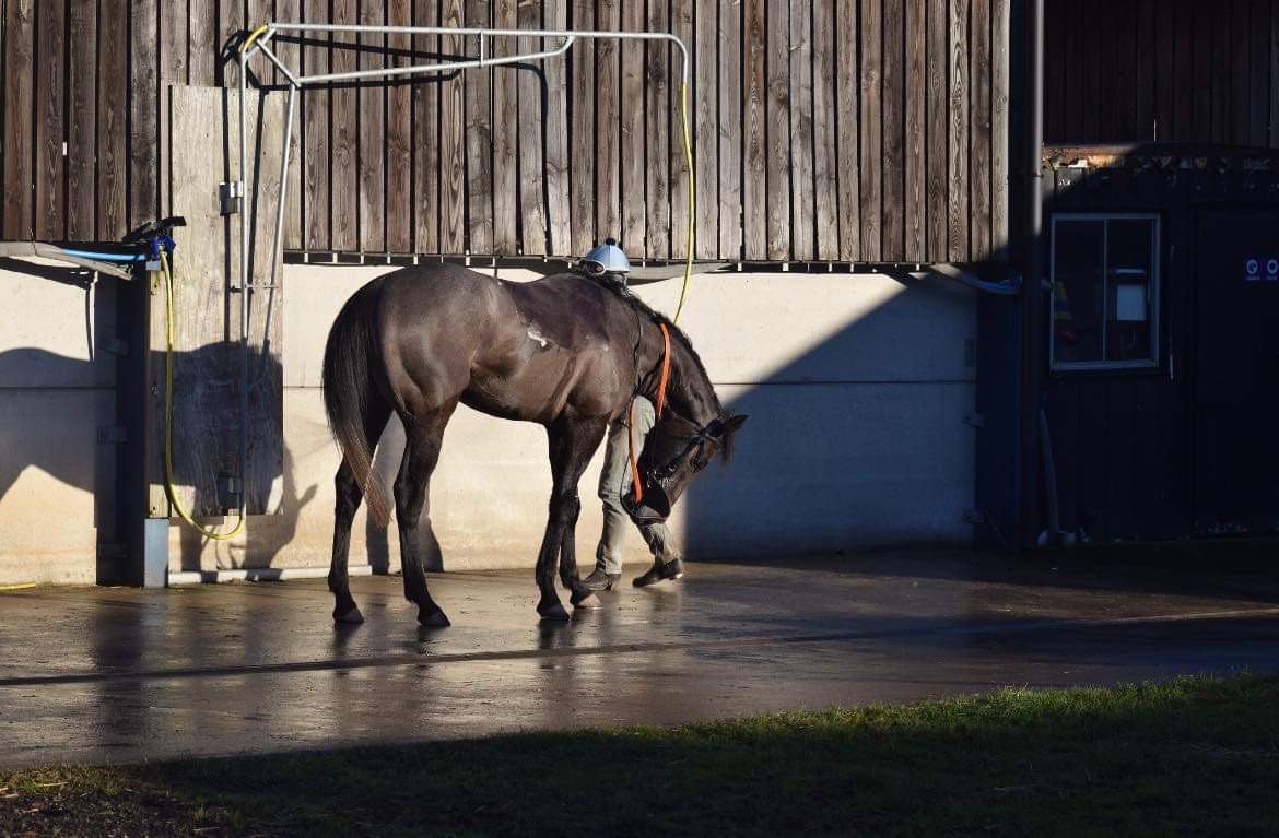 Ivan Furtado Photo Gallery - Ivan Furtado Racing