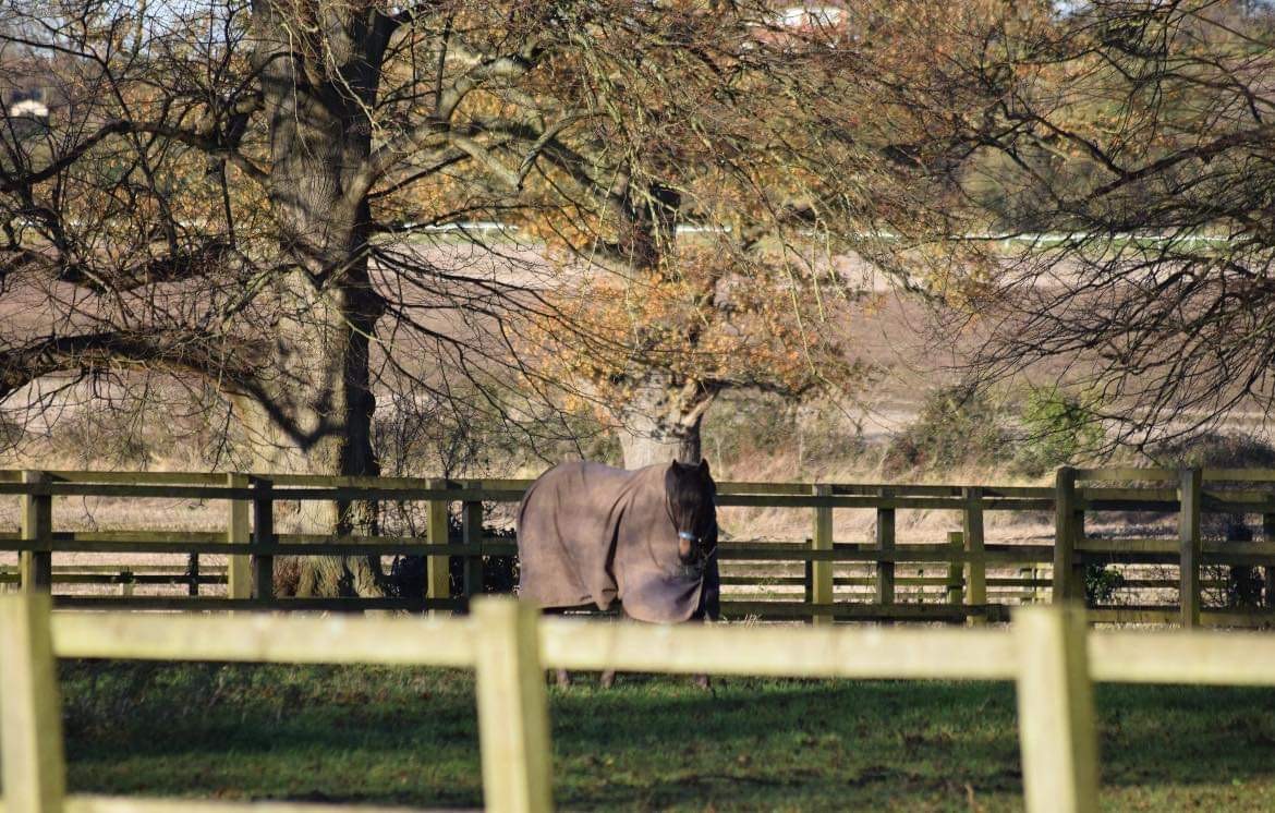 Ivan Furtado Photo Gallery - Ivan Furtado Racing